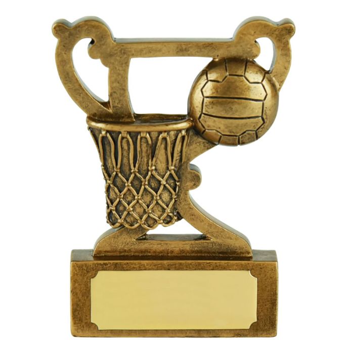 Netball - Mini Award
