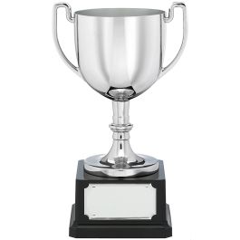 Plain Nickel Plated Cup (Available in 7 sizes)